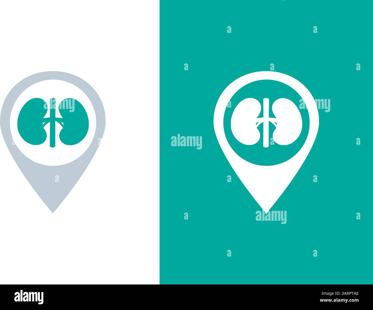 Human kidneys and map pointer logo combination. Kidney care logotype ...