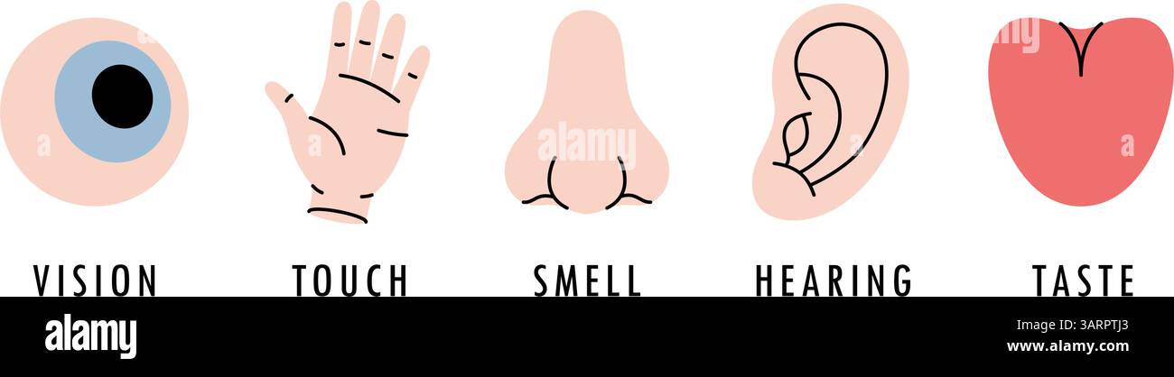 Five human senses. Vision, smell, hearing, touch, taste. Eye, hand ...