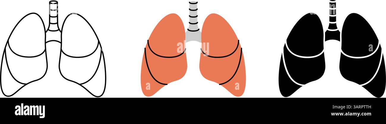 Lungs icon set. Human internal organ anatomy. Vector illustration Stock ...