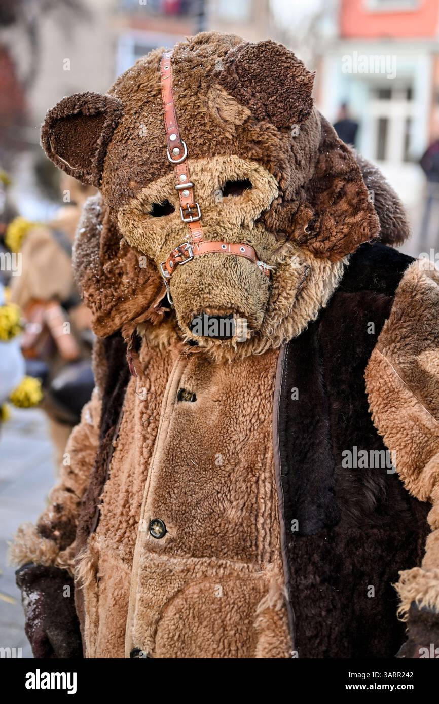 Balkan bear tradition hi-res stock photography and images - Alamy