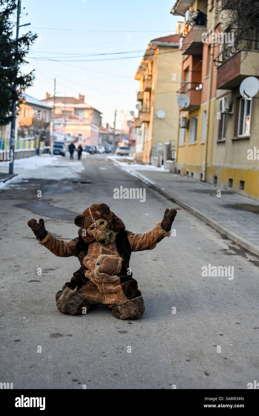 A performer dressed as a bear (Mechka) takes part in the Kukeri ...