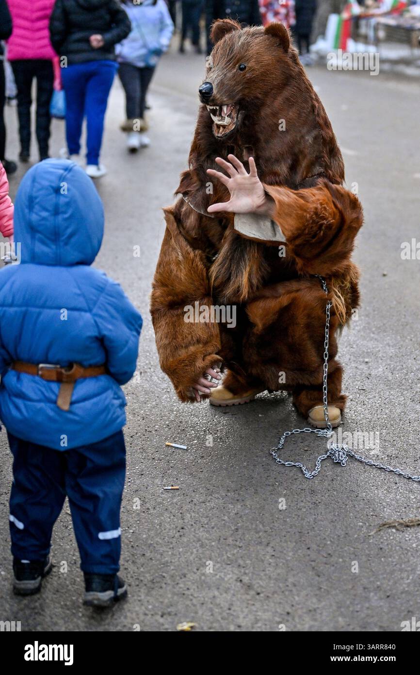 A performer dressed as a bear (Mechka) takes part in the Kukeri ...