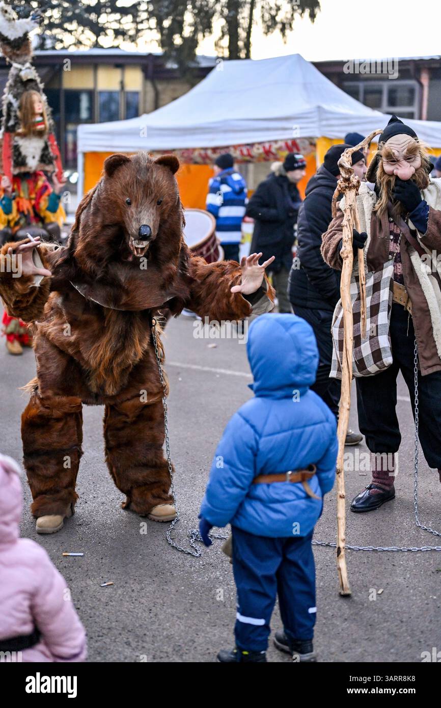 A performer dressed as a bear (Mechka) takes part in the Kukeri ...