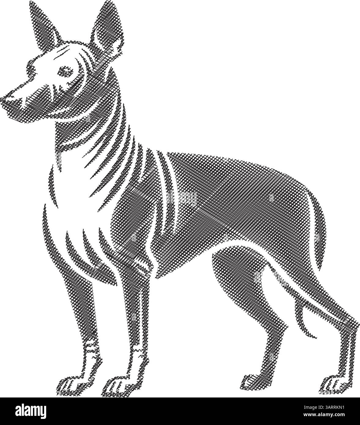 A graceful and striking illustration of a Peruvian Inca Orchid dog ...