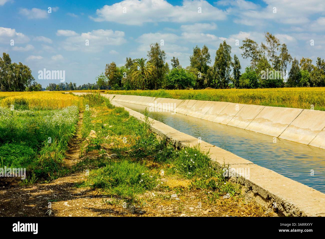 Concrete Irrigation Channel in Green Agricultural Area Stock Photo - Alamy