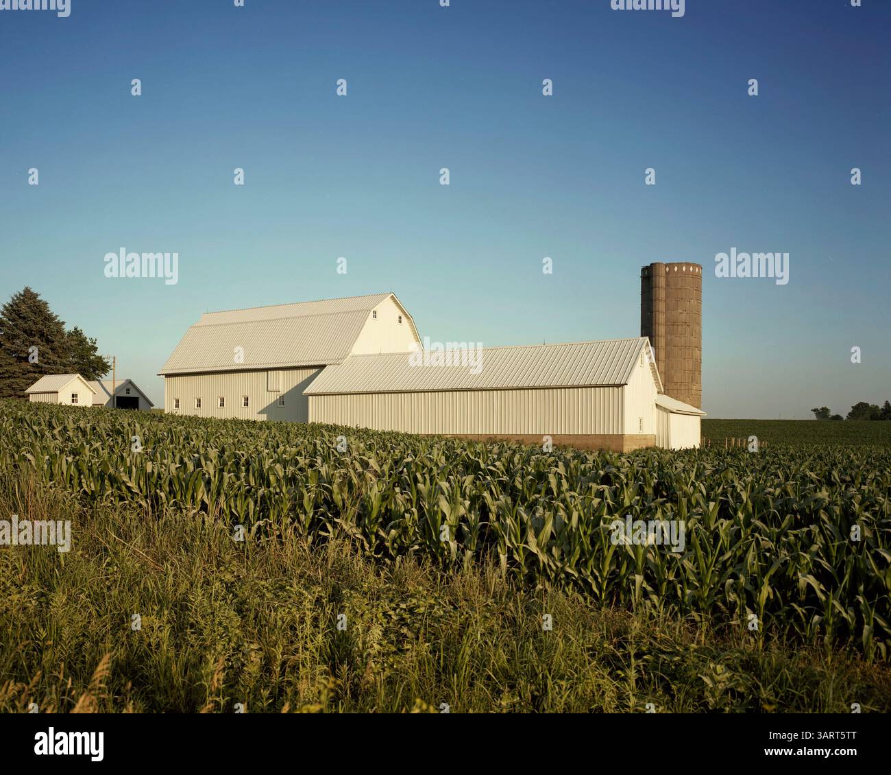 Prairieburg hi-res stock photography and images - Alamy