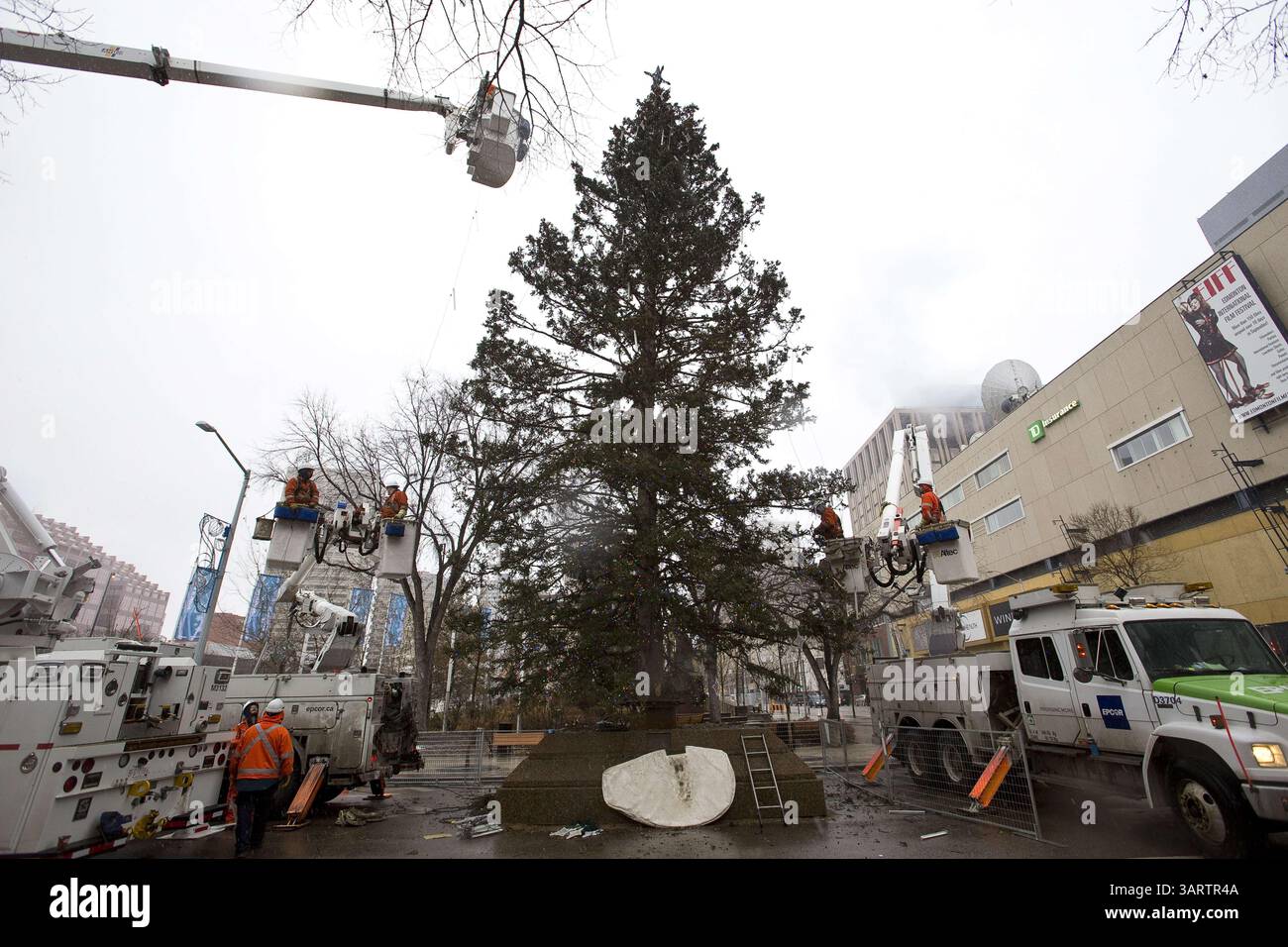 70 foot tall tree hi-res stock photography and images - Alamy