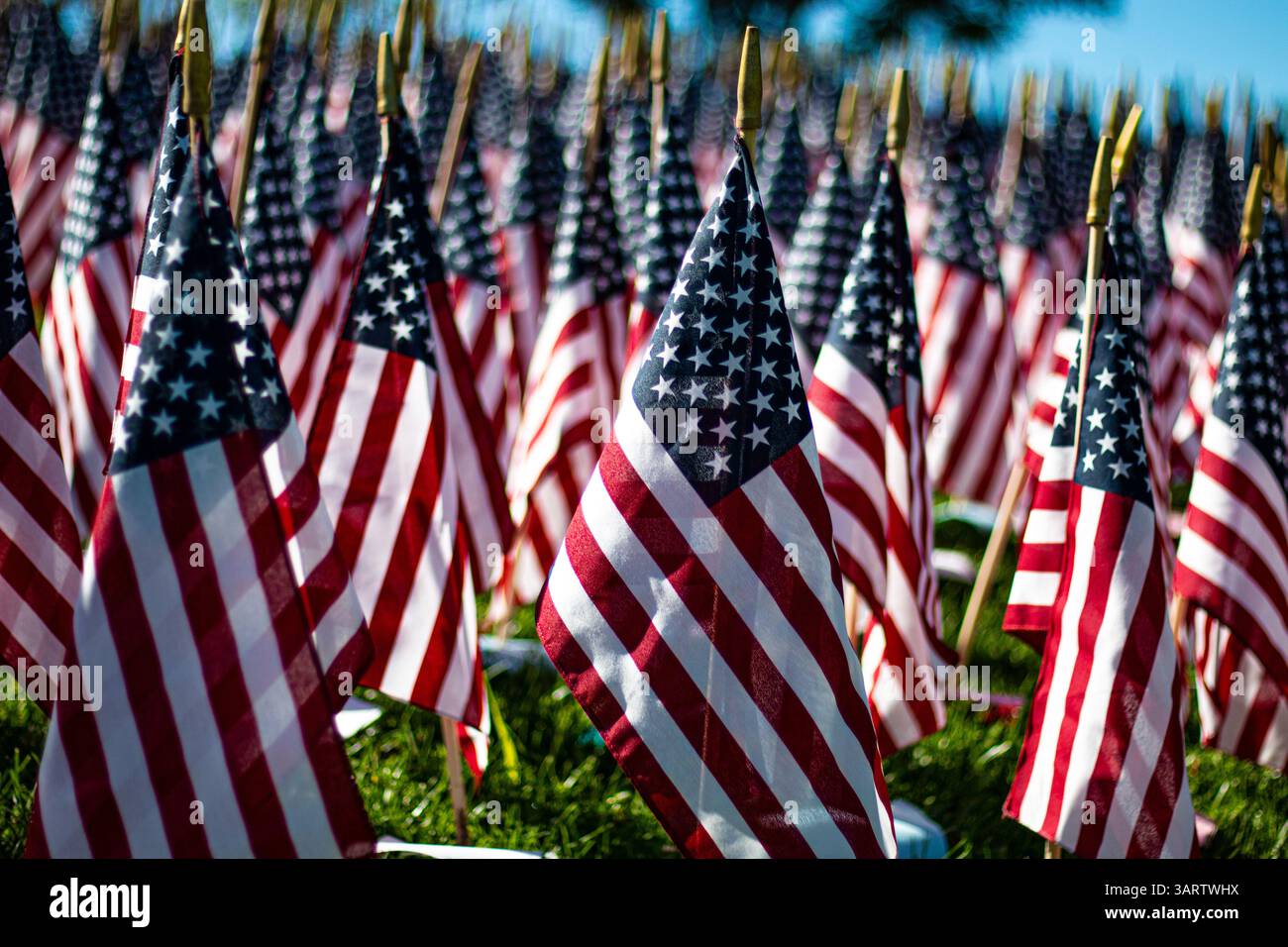 American flags placed in the ground in a field to remember fallen ...