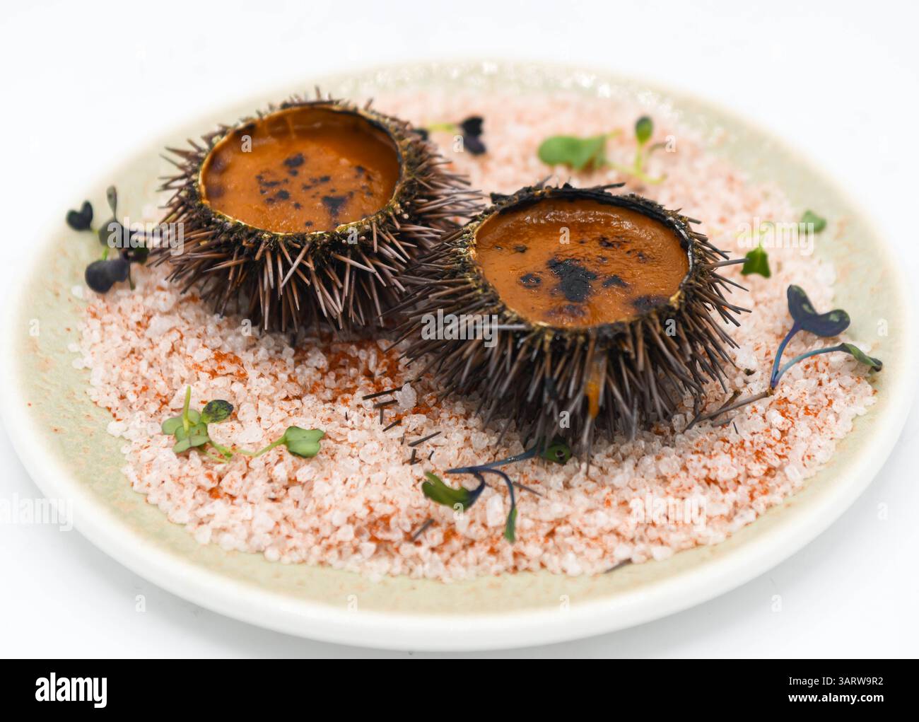 Pink urchin roe hi-res stock photography and images - Alamy