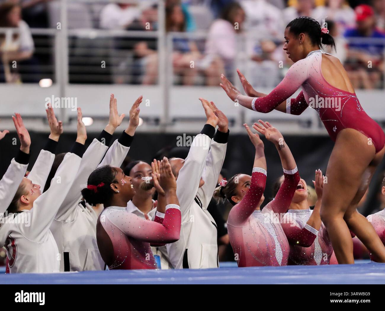 April 17, 2025, Fort Worth, Texas, USA: Alabama Crimson Tide gymnast ...
