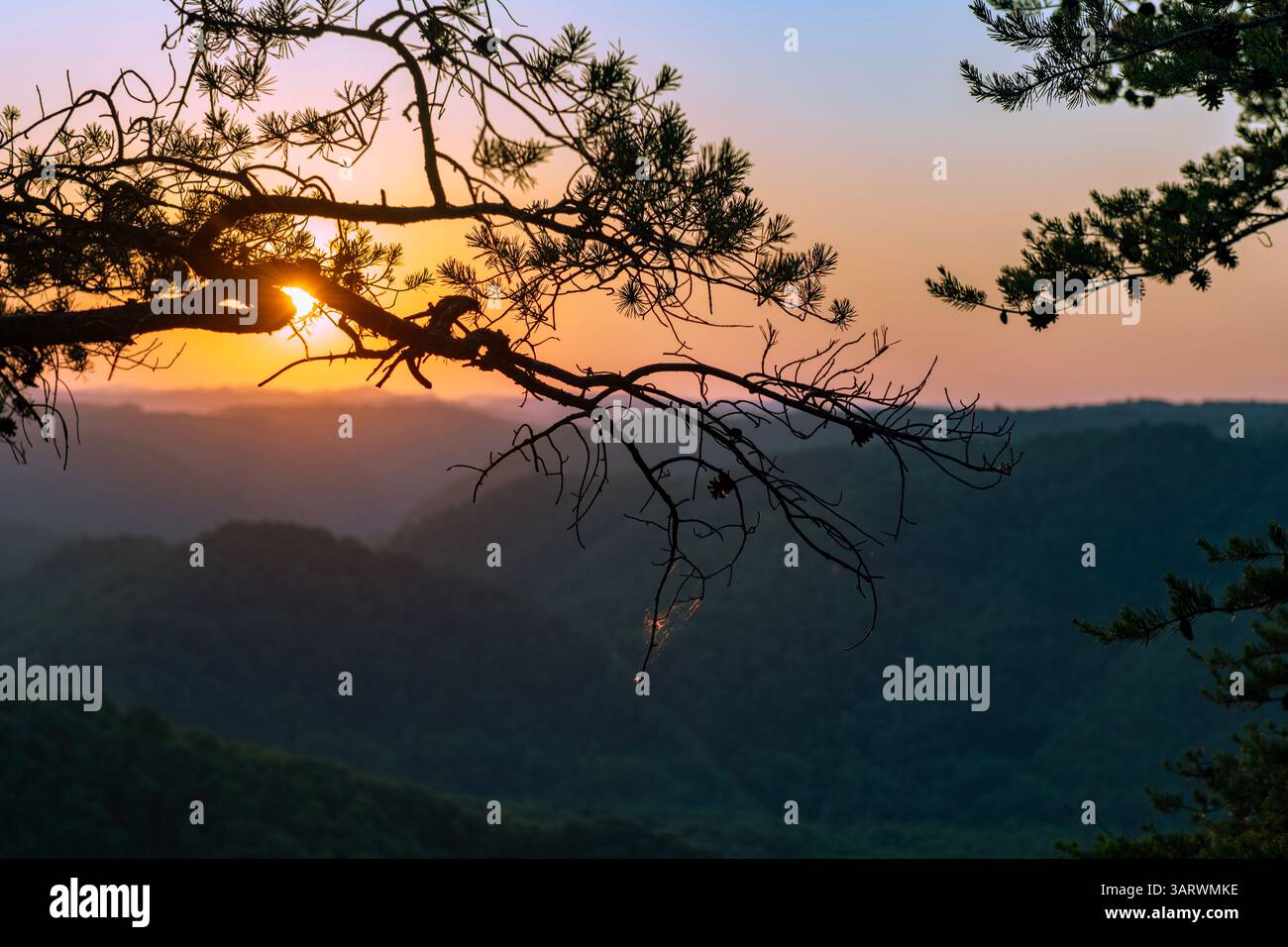 Sunset through tree branch in Appalachian valley Stock Photo - Alamy