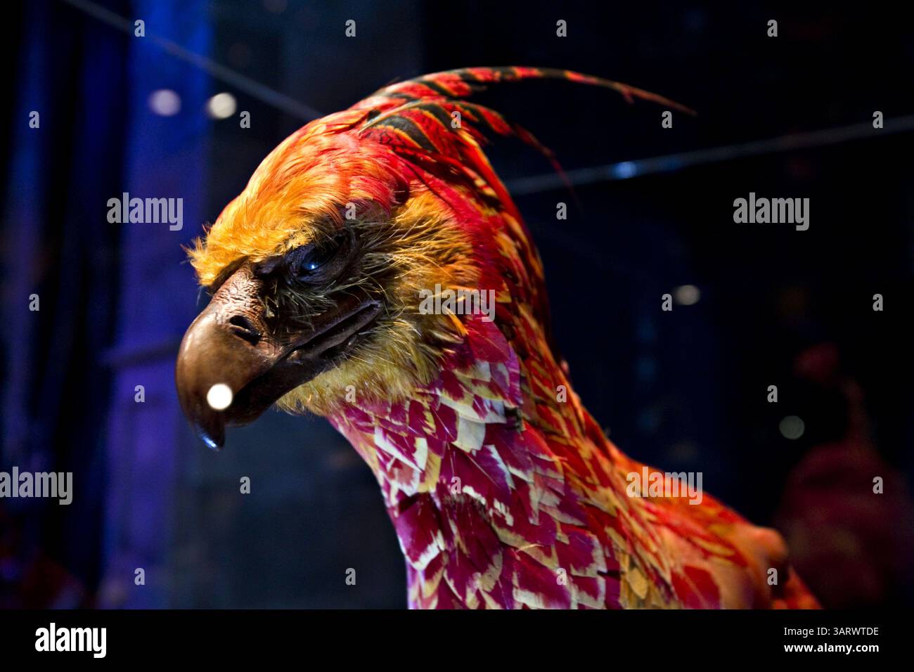 Fox The Phoenix Harry Potter