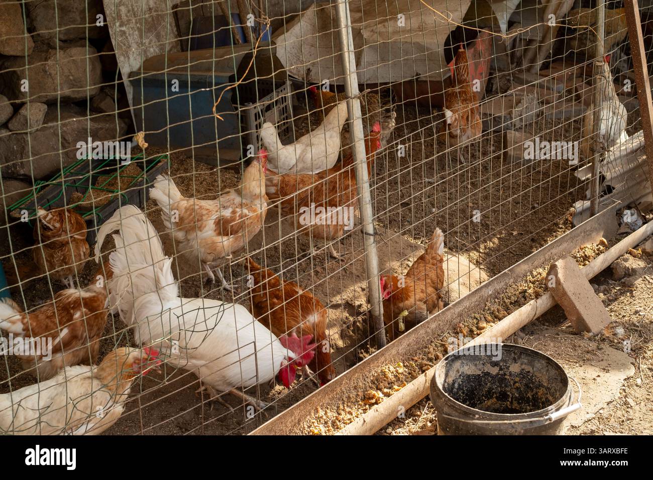 A farmer's chicken pen in a mountain village in Beijing, China. 15-Apr ...