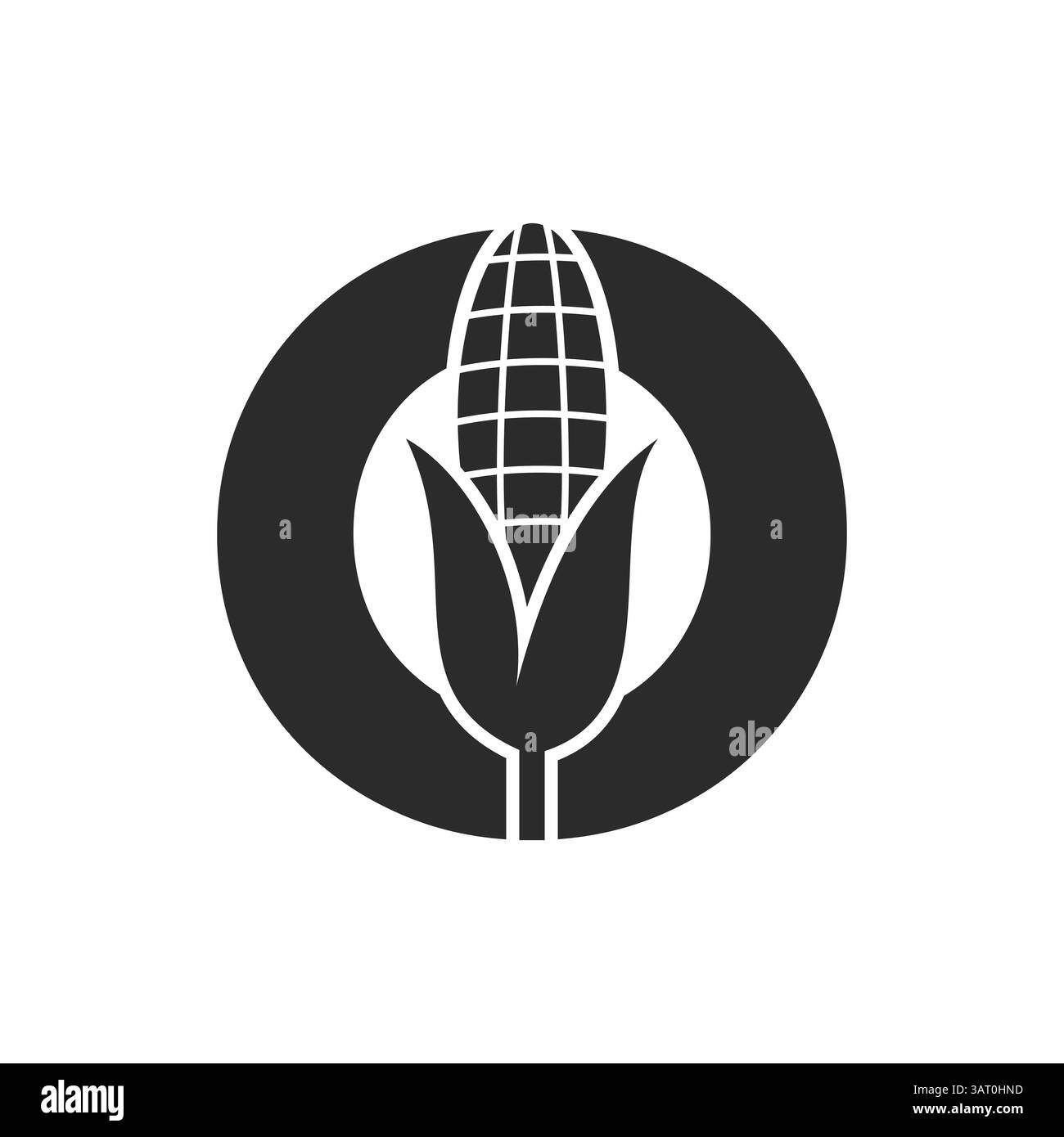 Corn maize rice wheat Stock Vector Images - Alamy