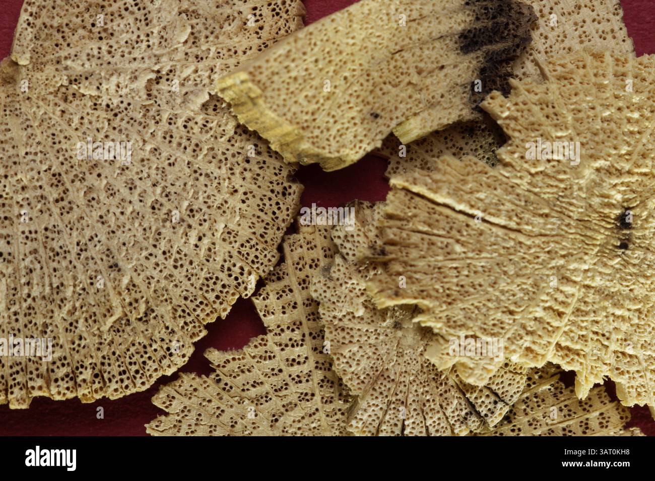 TCM - Chinese medicinal herbs Stock Photo - Alamy