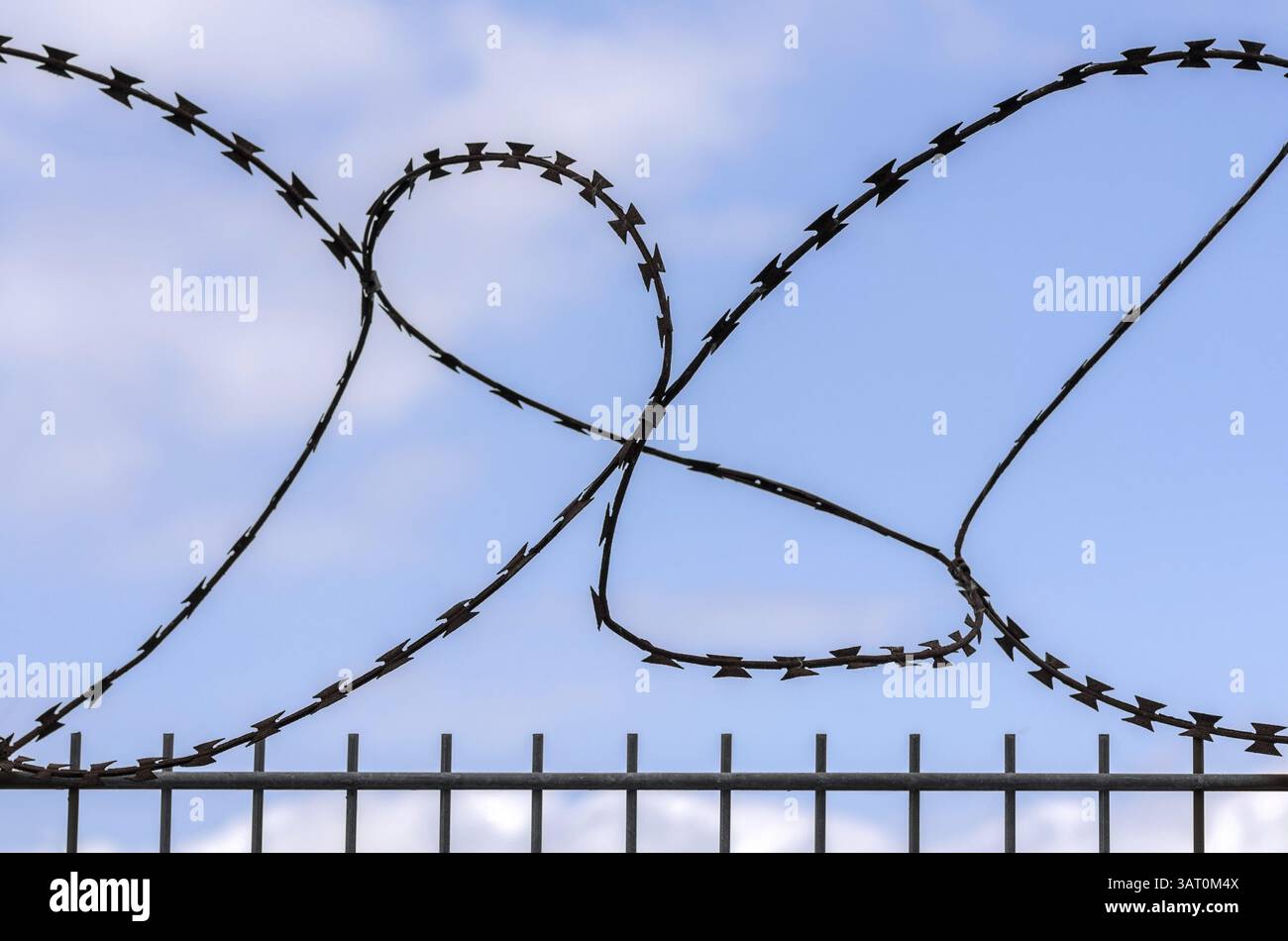 Barbed wire on the fence Stock Photo - Alamy
