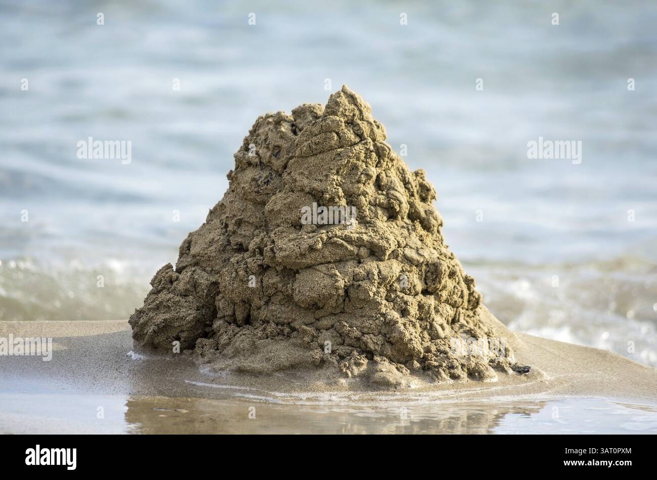 Sandcastle on the beach Stock Photo - Alamy
