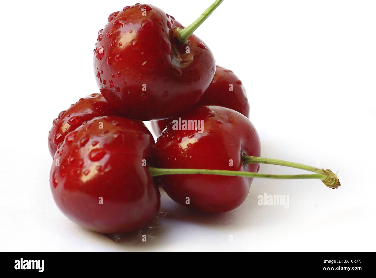 Tree picked Cut Out Stock Images & Pictures - Alamy