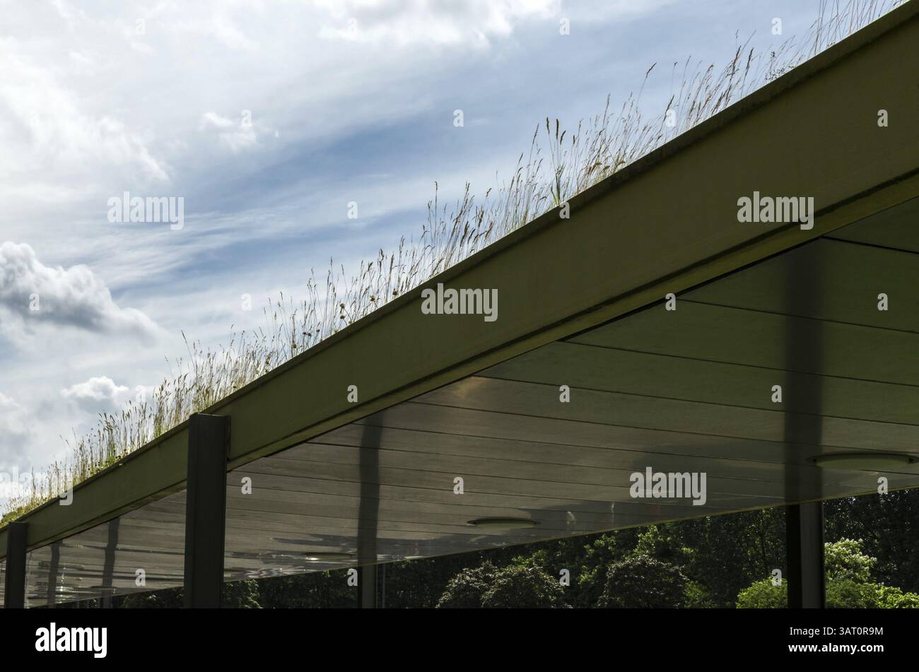 Green bridge passage Stock Photo - Alamy