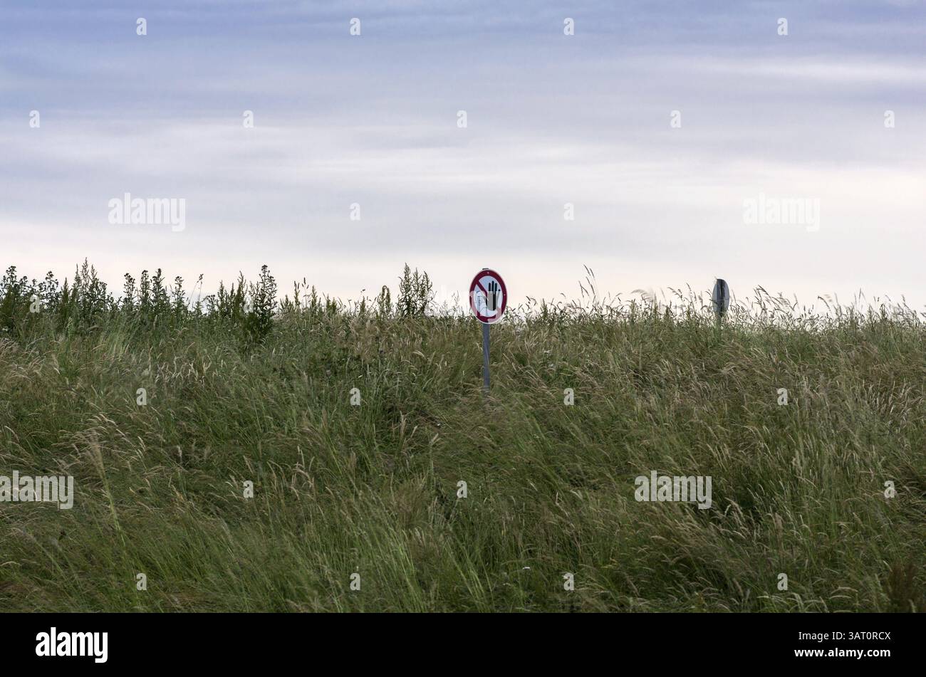 Stop sign in the grass Stock Photo - Alamy