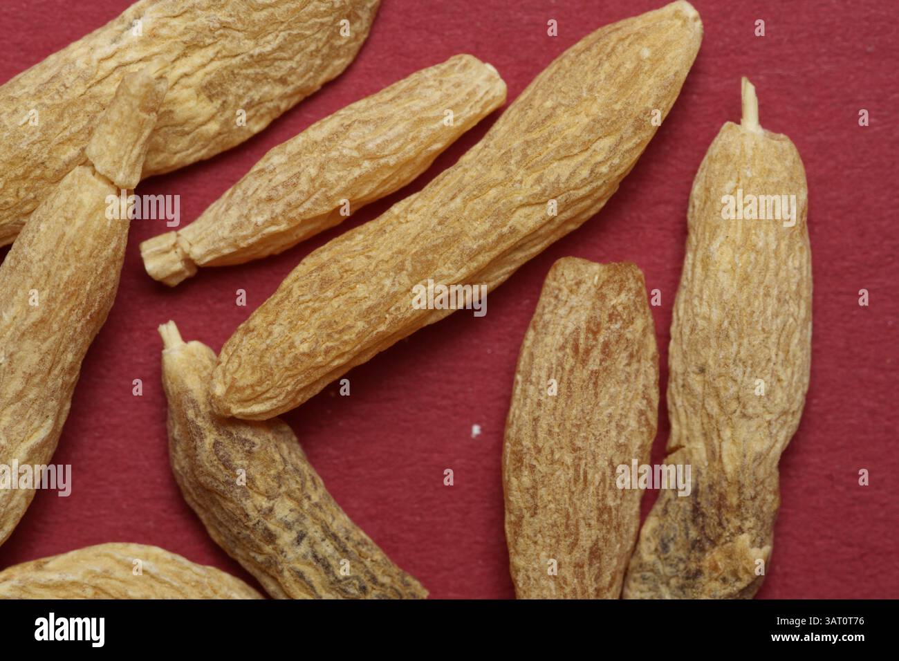 Ophiopogonis radix, snake's beard root, Maimendon Stock Photo - Alamy