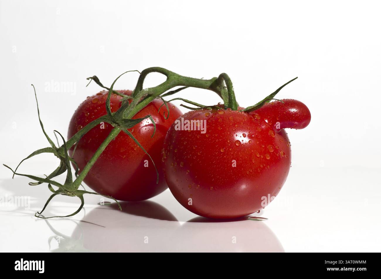 Large red vine tomatoes Stock Photo - Alamy