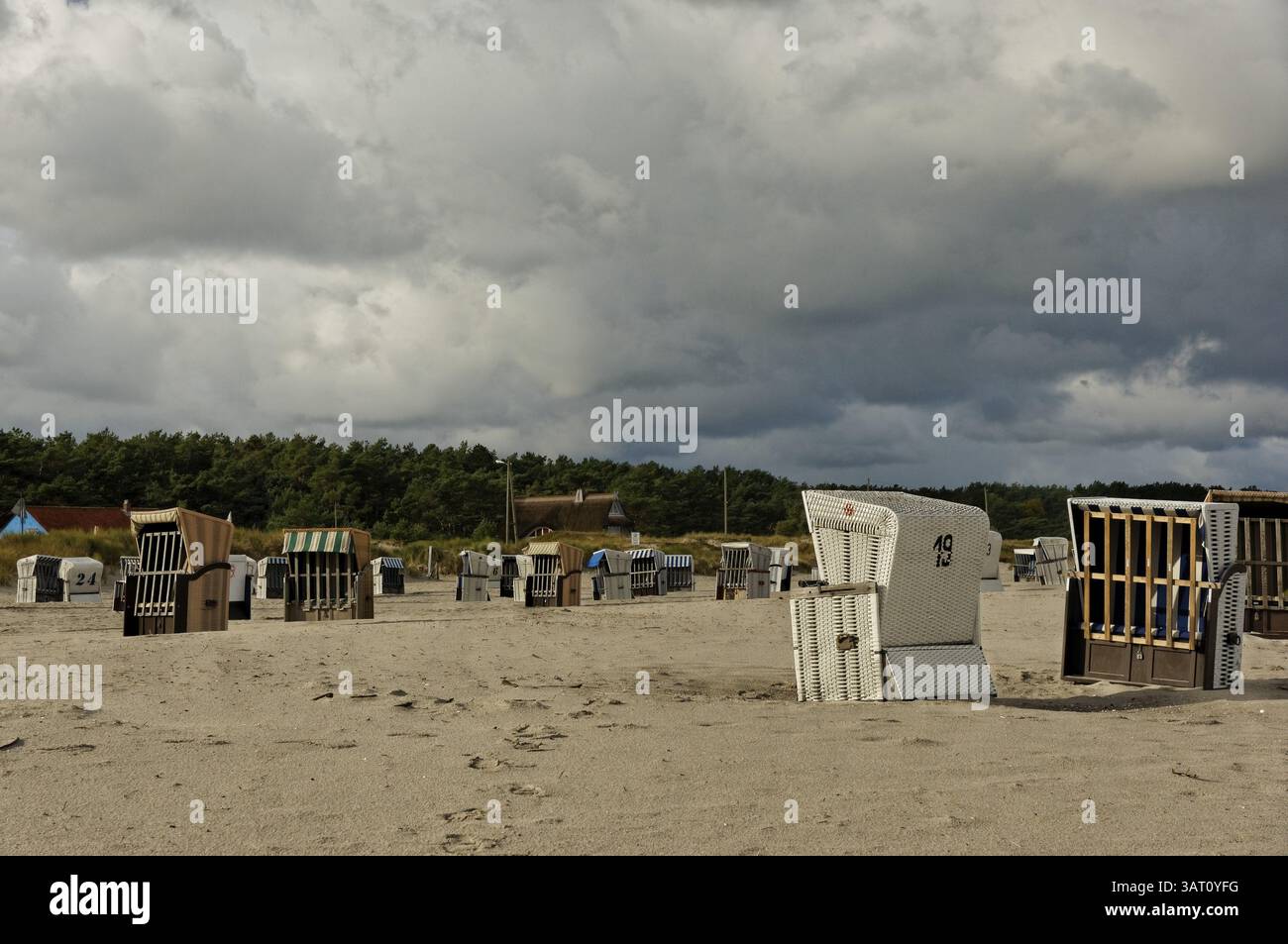 Beach in Prerow, Darss, Baltic Sea, Prerow, Germany, Europe Stock Photo ...