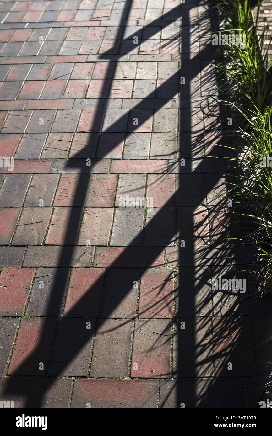 Shadows cast on floor on hi-res stock photography and images - Alamy