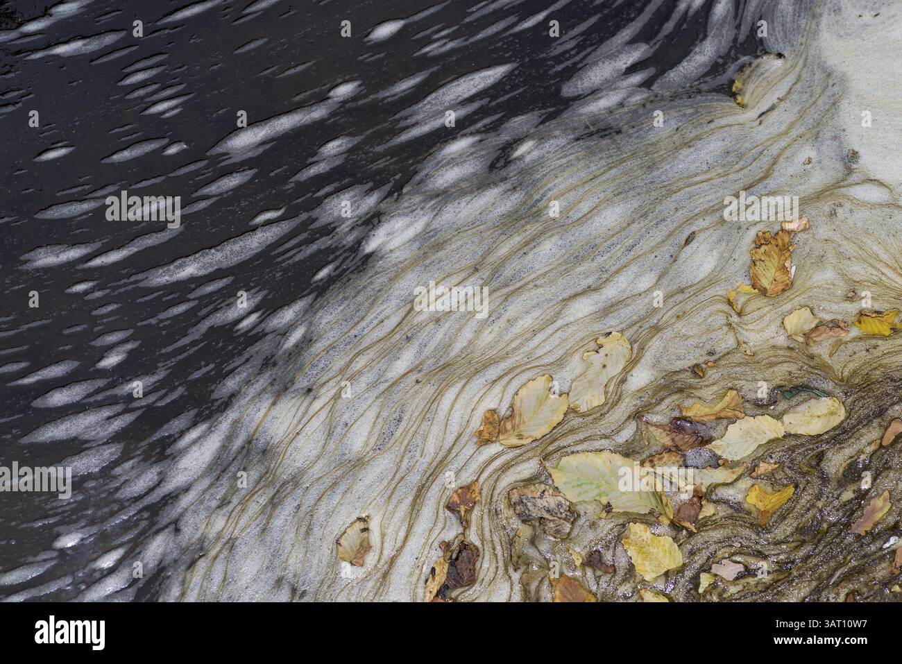 River waves with foliage Stock Photo - Alamy