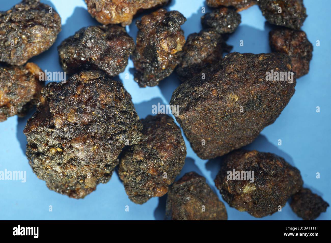 Myrrh tree resin hi-res stock photography and images - Alamy