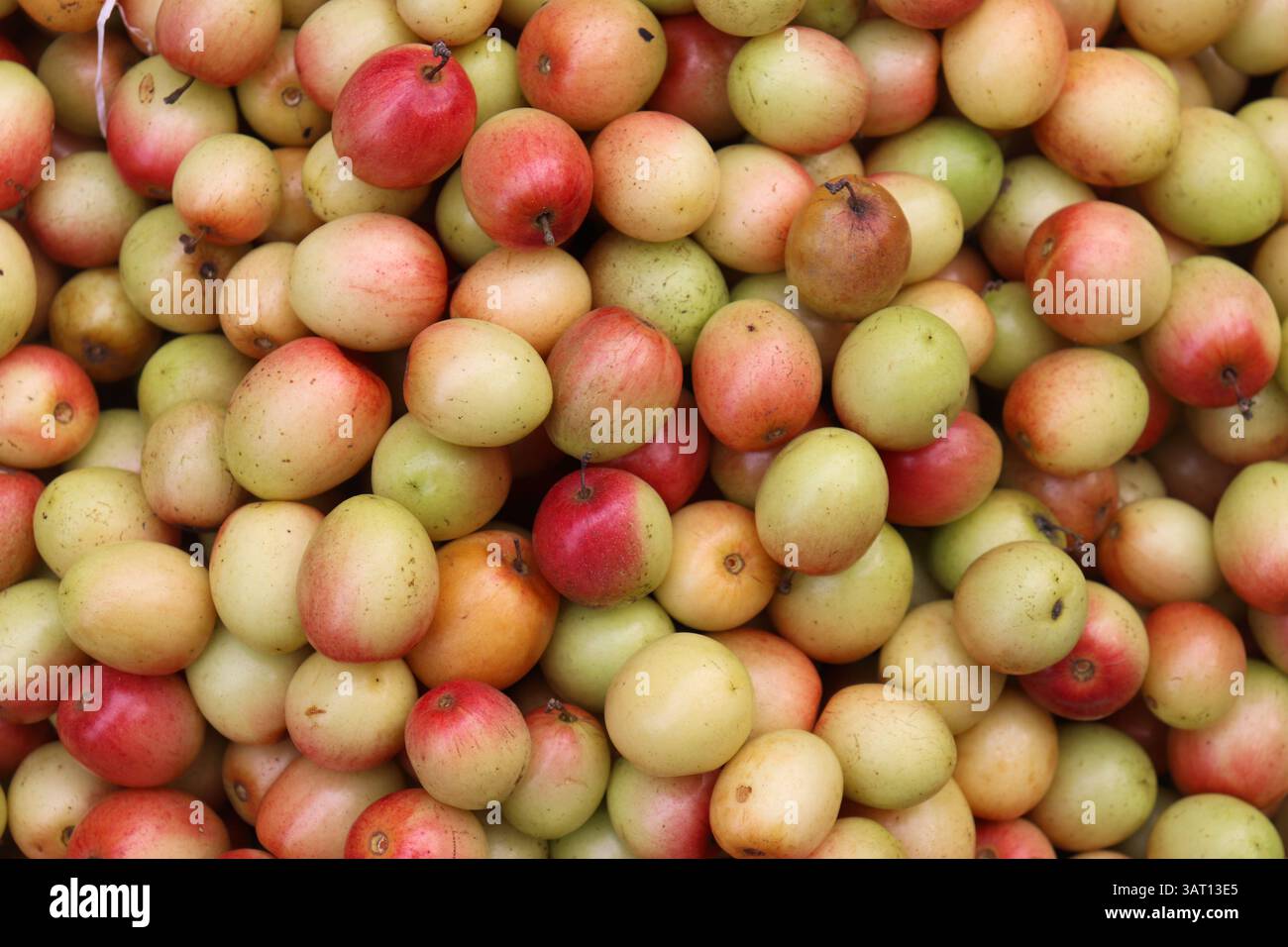 Fresh and delicious Red jujube fruits, Chinese date Stock Photo - Alamy