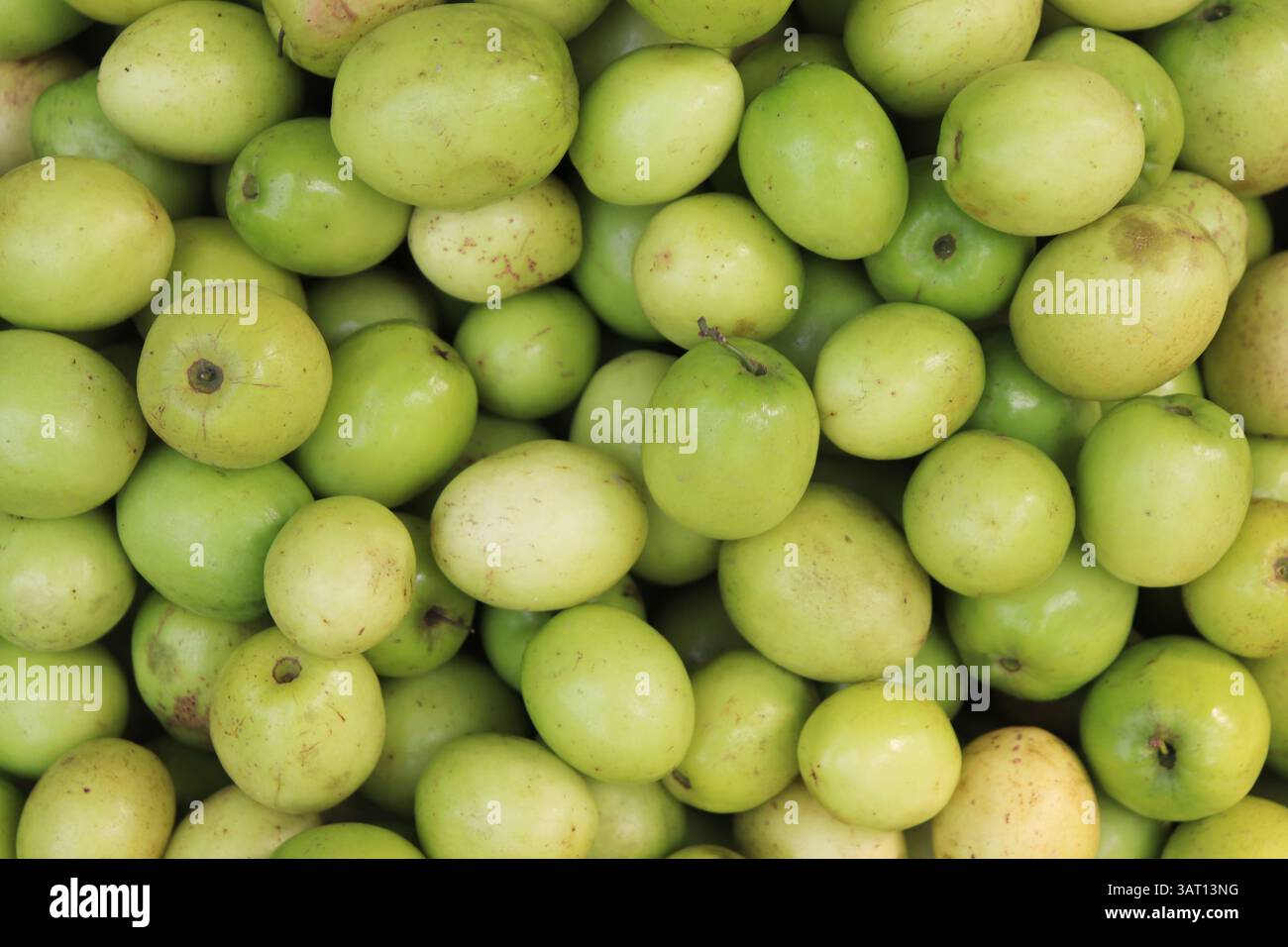Fresh and delicious Indian jujube fruits, Green Jujube backgrounds ...