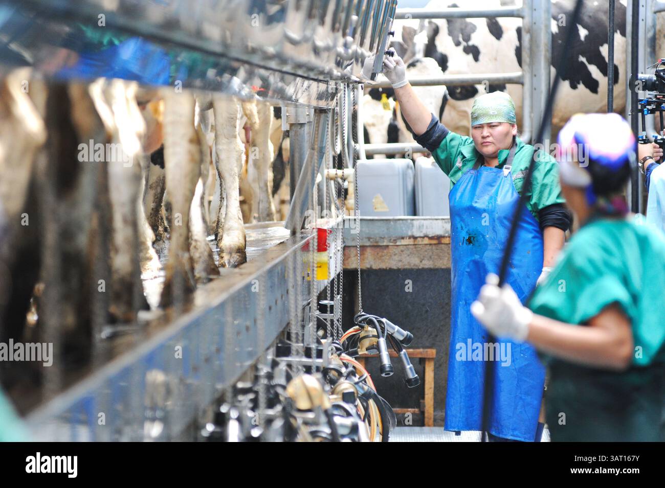 Milk factory machine hi-res stock photography and images - Alamy