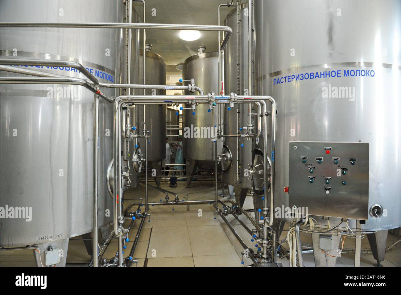 Pipes for processing and pasteurization of milk at the factory Stock ...