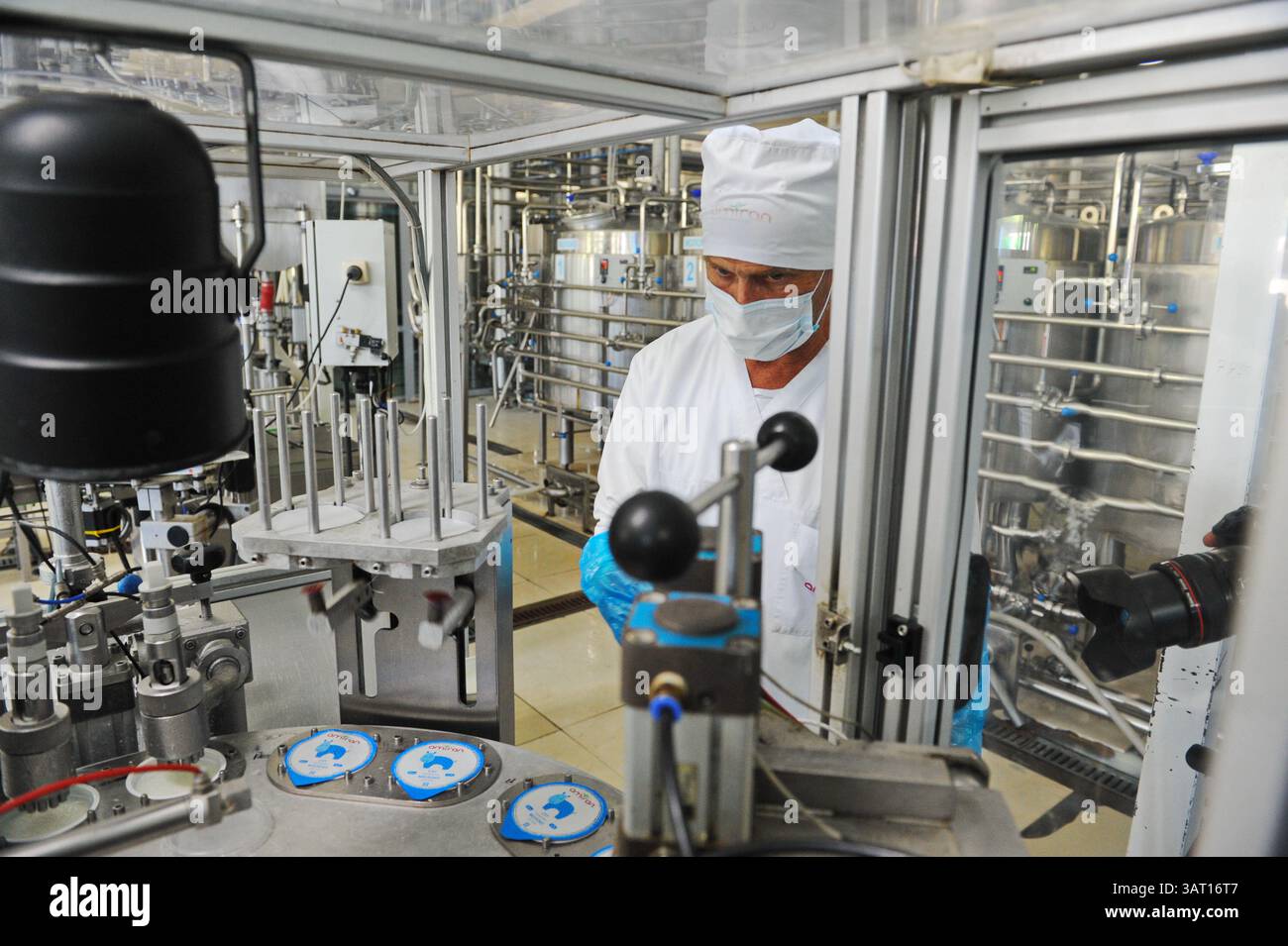 Bottling and sorting of finished fermented milk products at the factory ...
