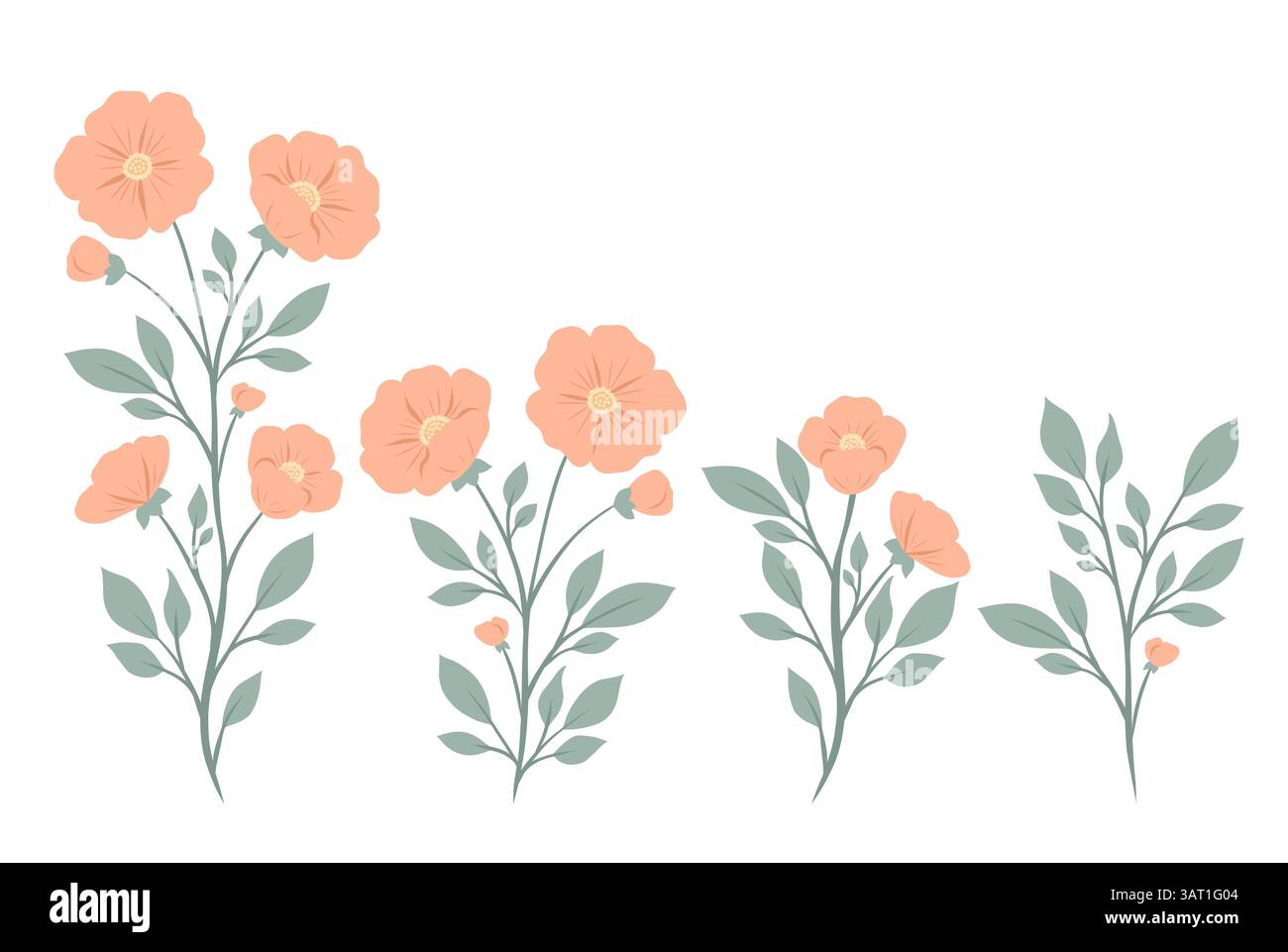 Vector set of gentle flowers. Collection of feminine wild flowers clip ...