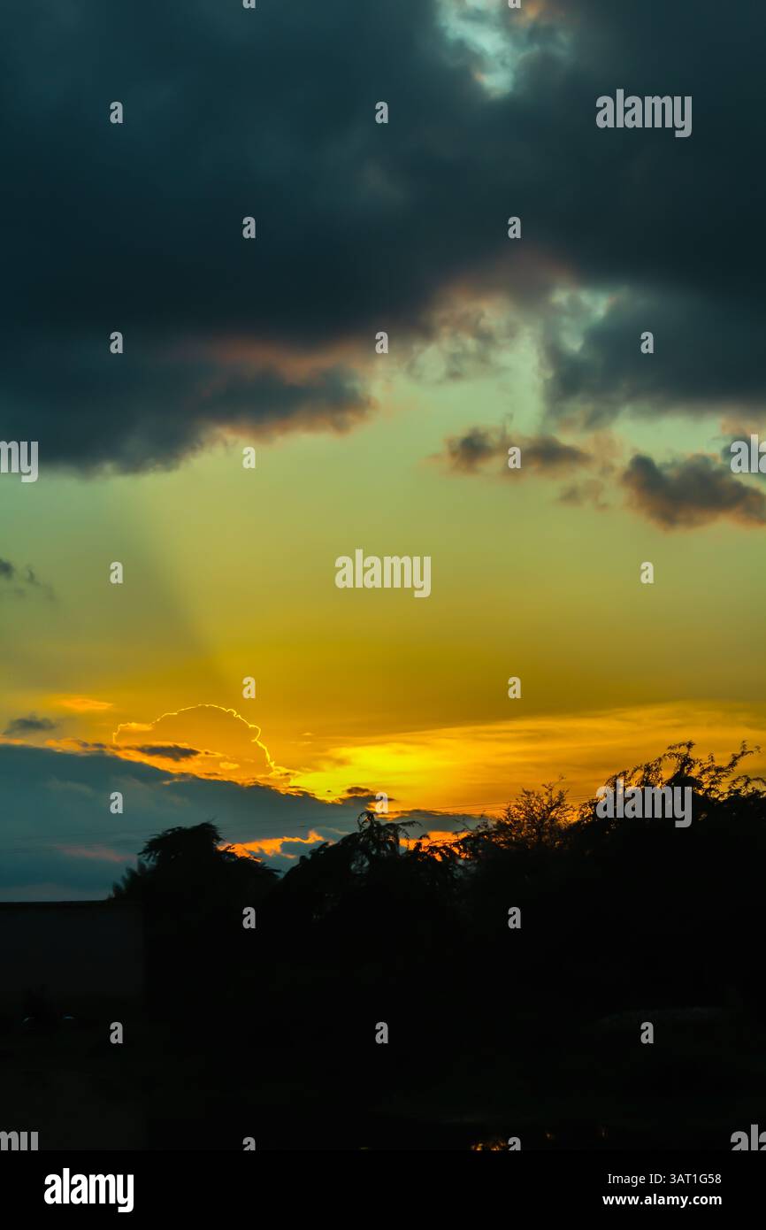 Evening sky trees hi-res stock photography and images - Alamy
