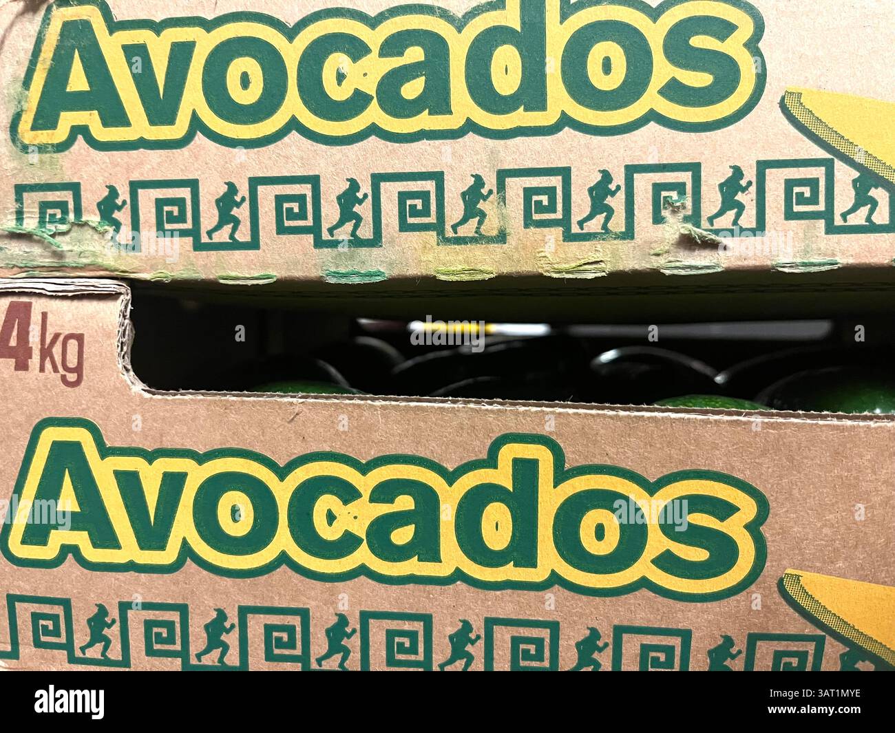 Sustainable avocado packaging hi-res stock photography and images - Alamy