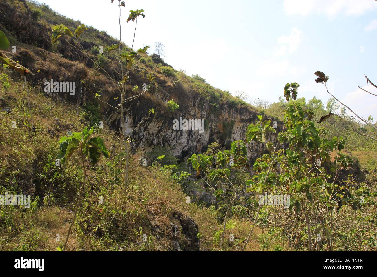 Karst rock outcrops are often found in the southern part of Yogyakarta ...