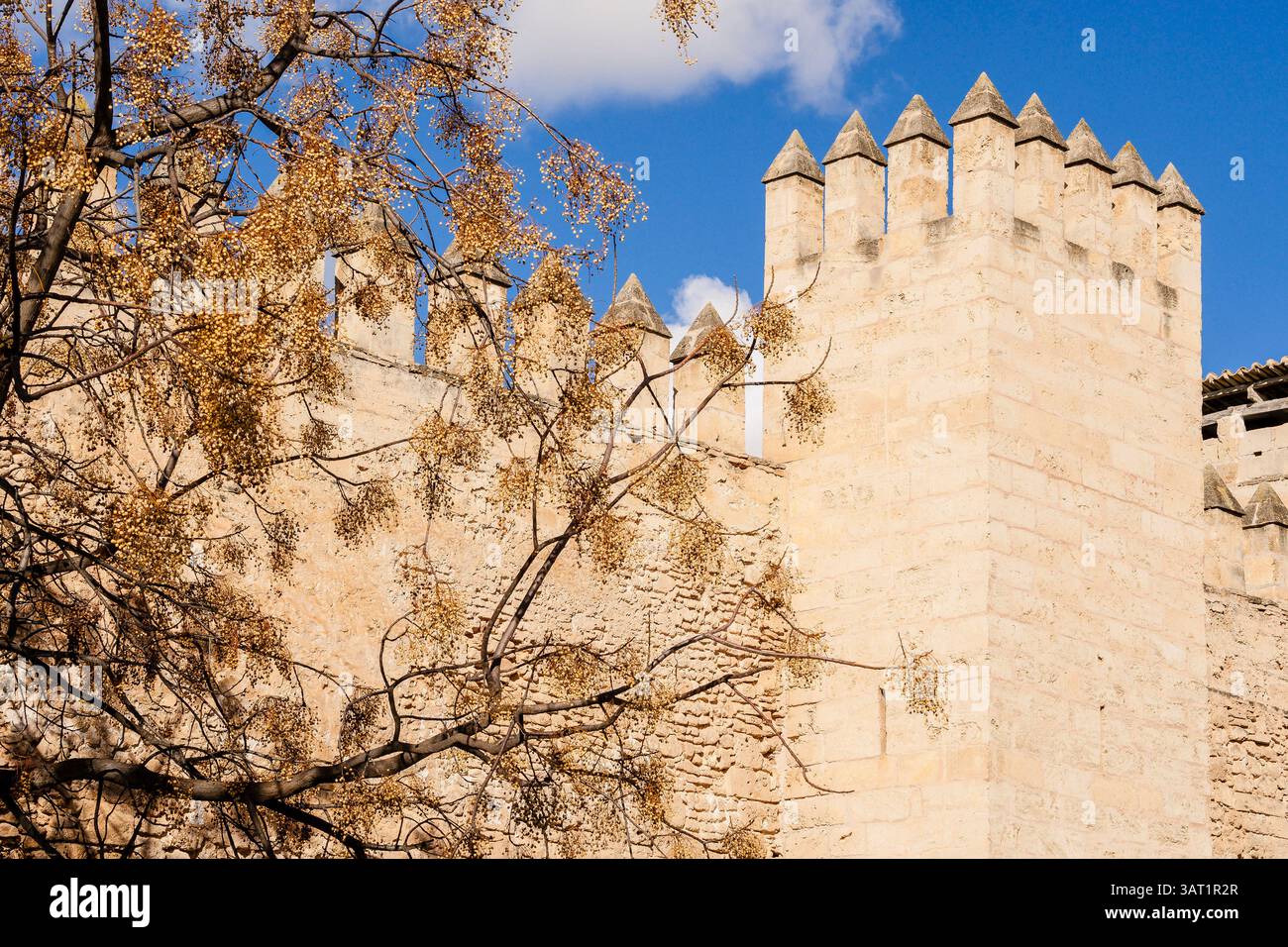 Arab wall, ancient city of Madina Mayurqa, 10th-12th century, Palma ...