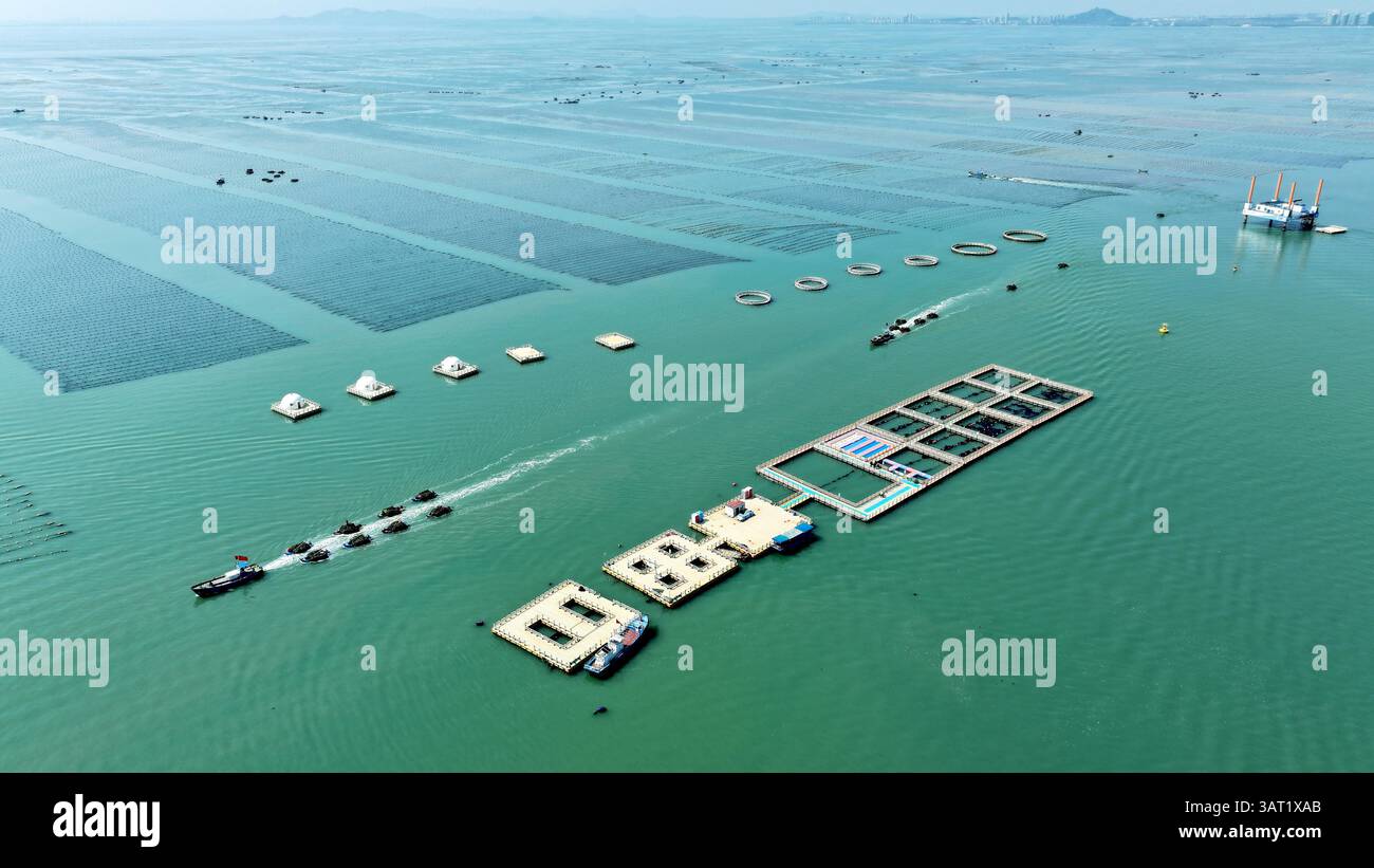 Aerial photo shows the marine ranch in Rongcheng City, east China's ...
