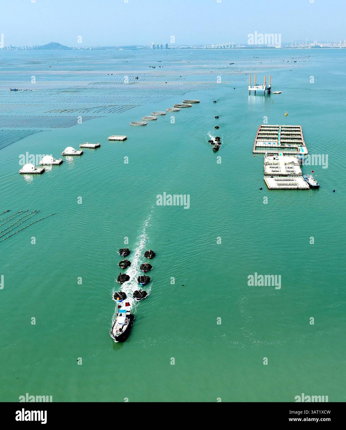 Aerial photo shows the marine ranch in Rongcheng City, east China's ...