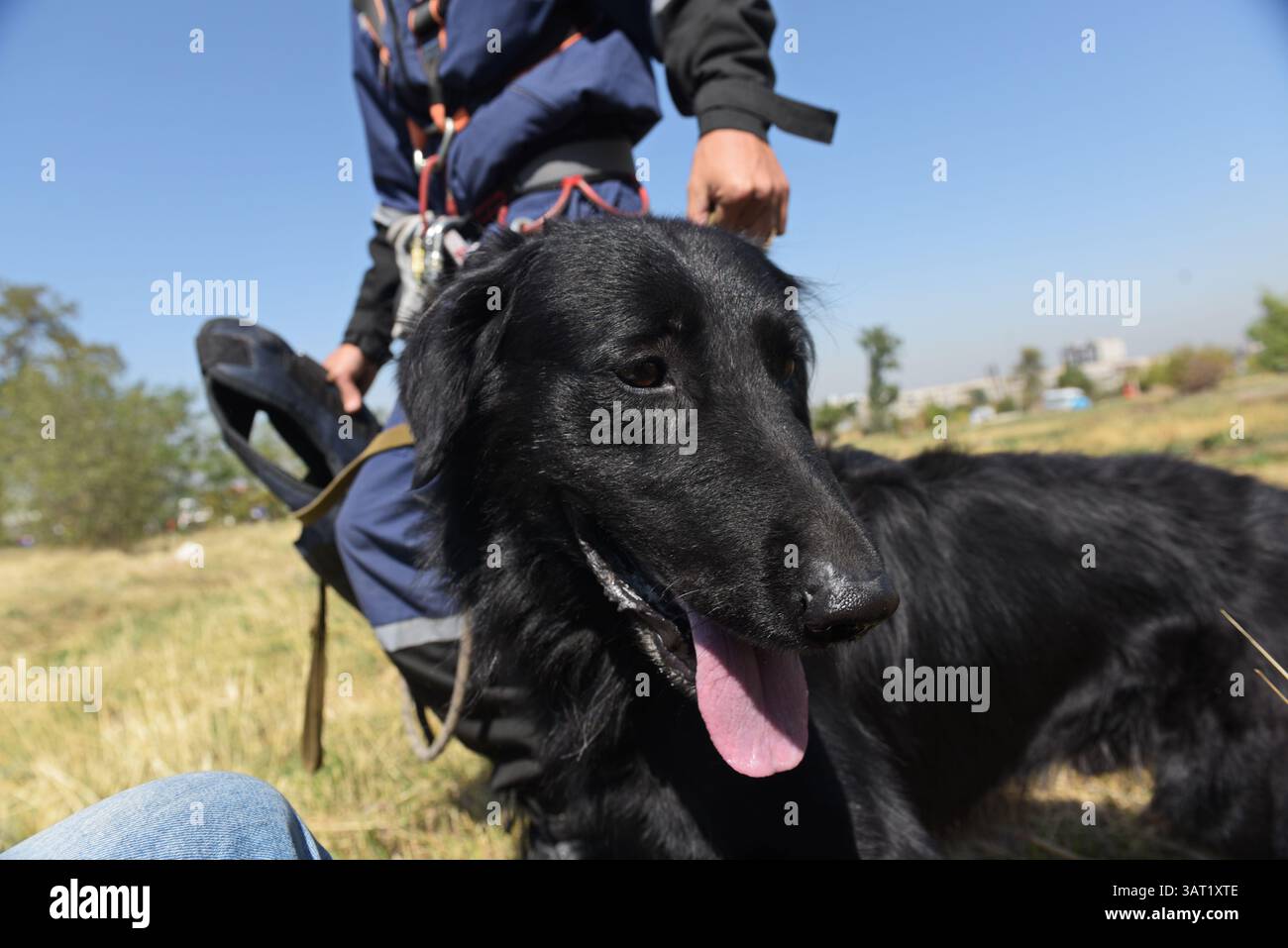 Exercises of the city's fire service Stock Photo - Alamy