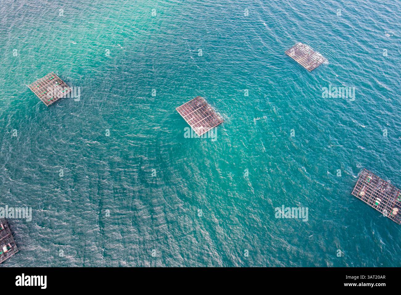Aerial view of traditional mussel farming platforms floating on the sea ...