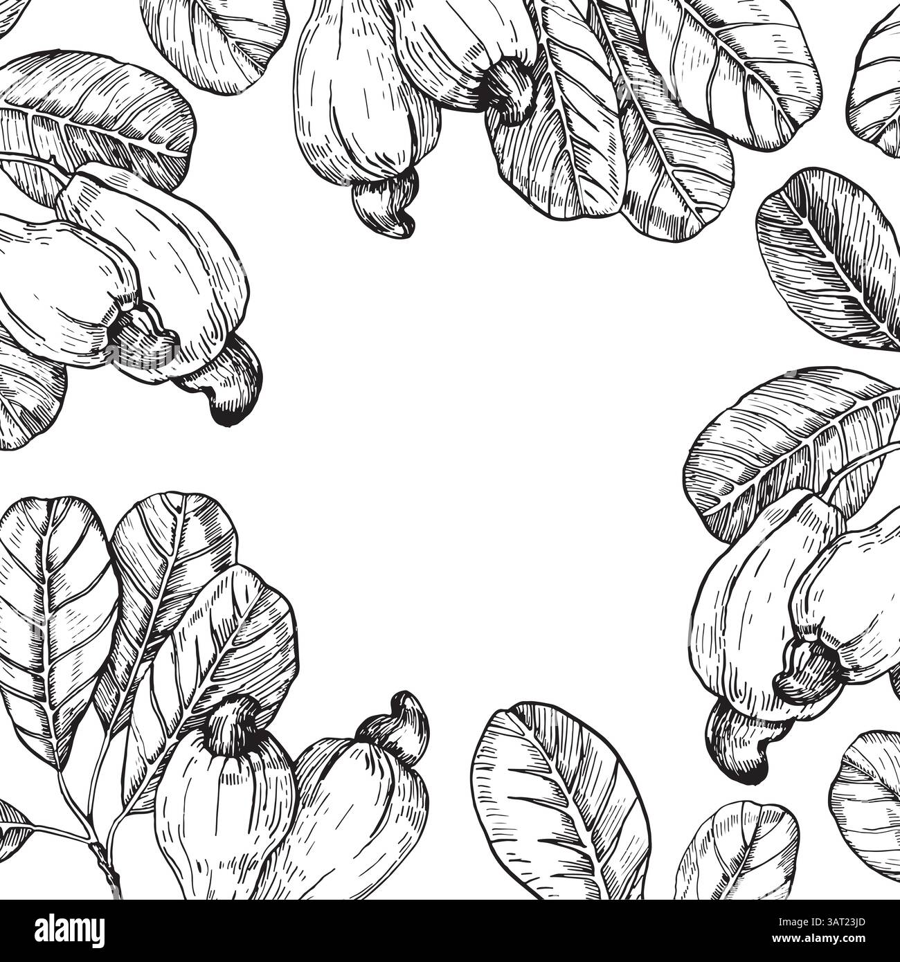 Cashew branch frame with fruit. Hand drawn ink vector illustrations ...