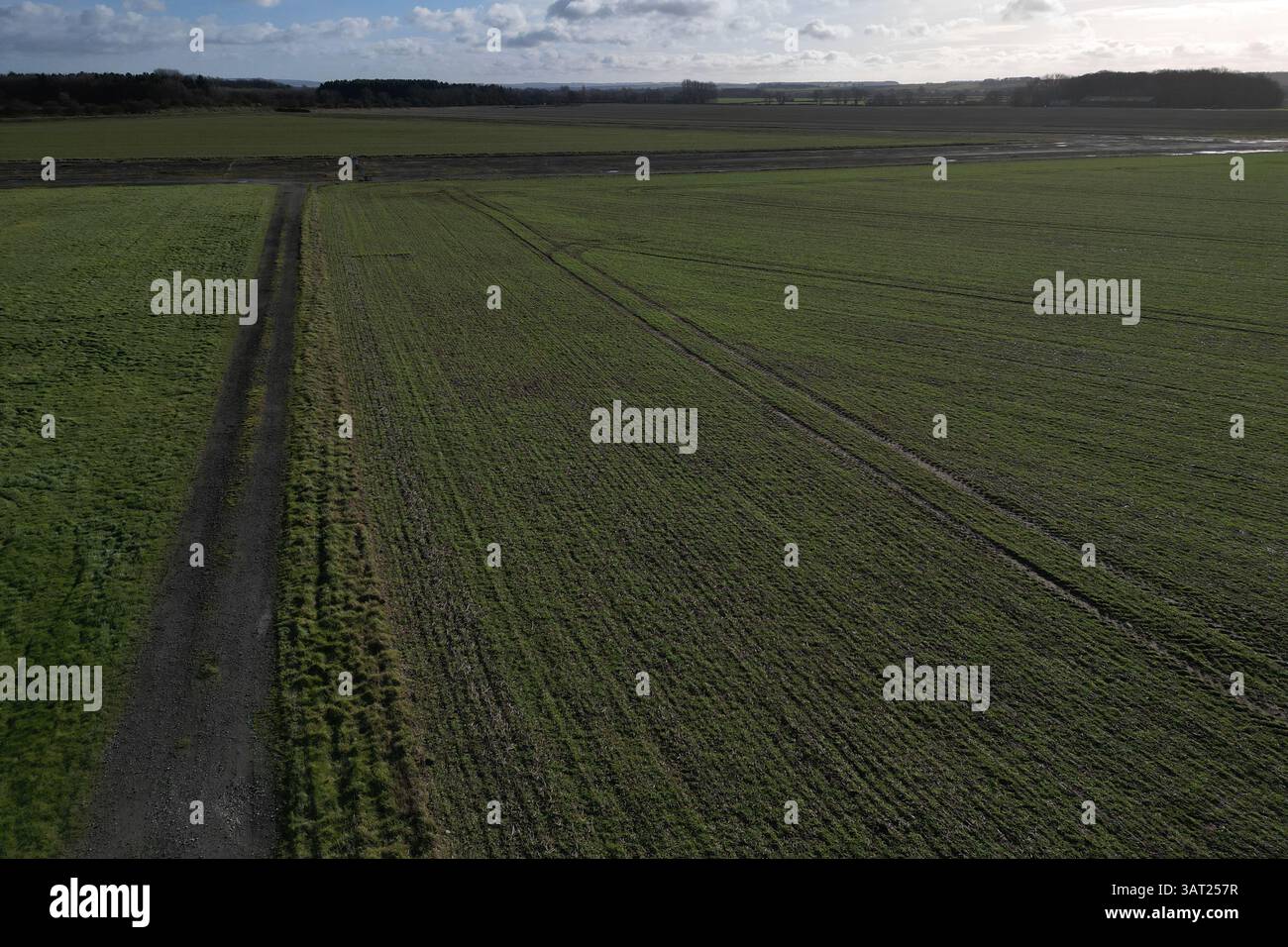 Raf wombleton hi-res stock photography and images - Alamy