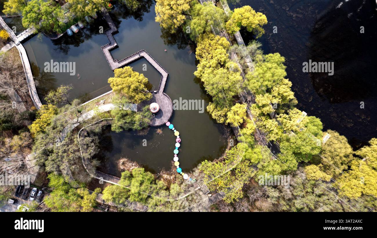 Aerial photo shows the spring scenery of Nanhu Park in Shenyang City ...