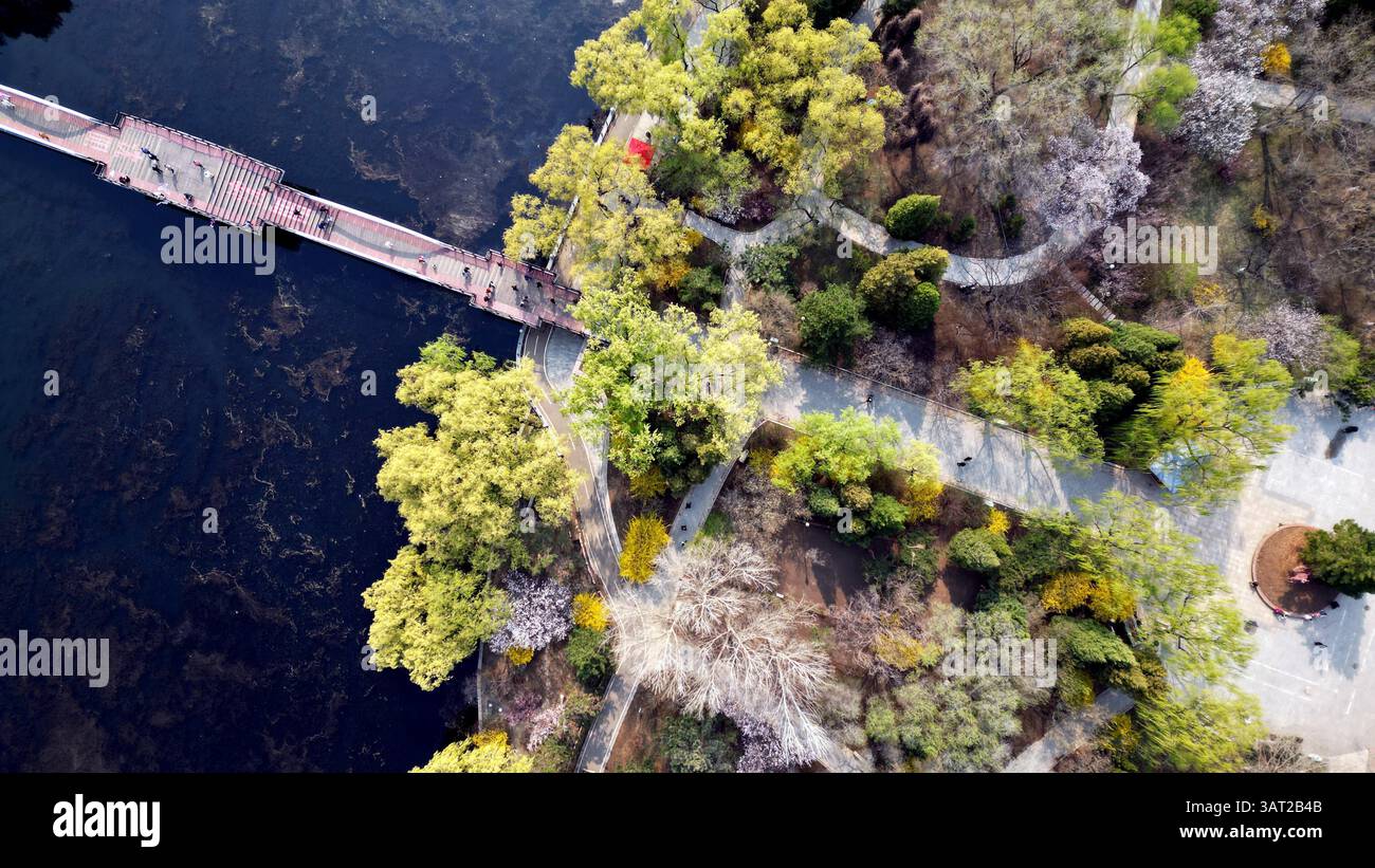 Aerial photo shows the spring scenery of Nanhu Park in Shenyang City ...