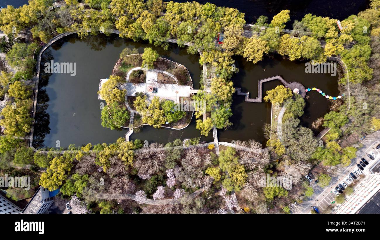Aerial photo shows the spring scenery of Nanhu Park in Shenyang City ...