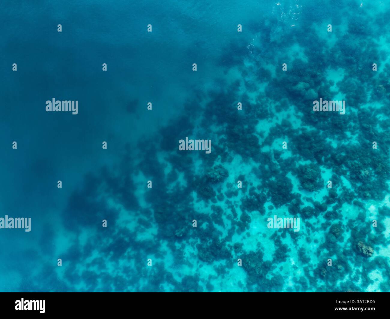 Aerial view of a coral reef beneath turquoise waters, revealing abstract marine textures and ...